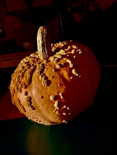 WOORTS! - Murr Brewster