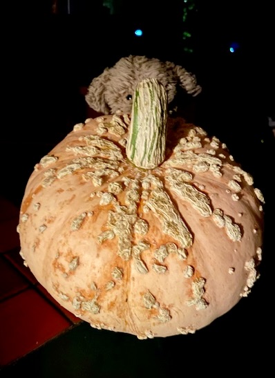 WOORTS! - Murr Brewster