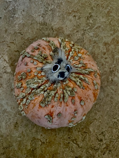 WOORTS! - Murr Brewster